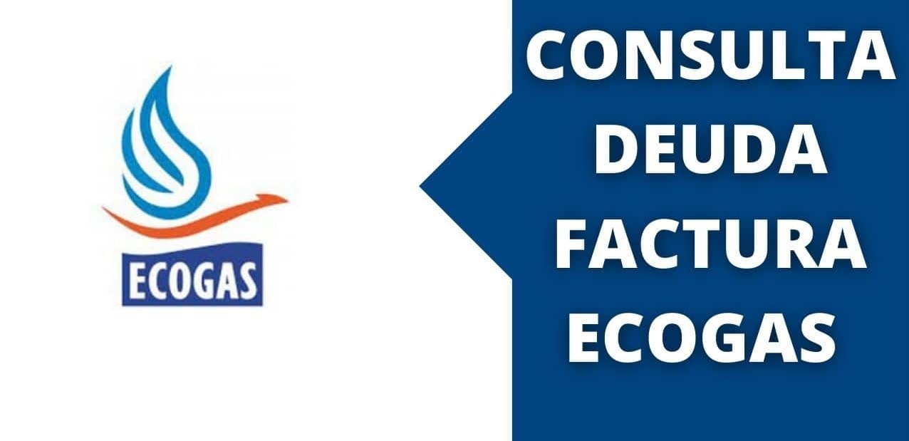 Conoce todos los detalles sobre el Estado de Cuenta de Ecogas ...