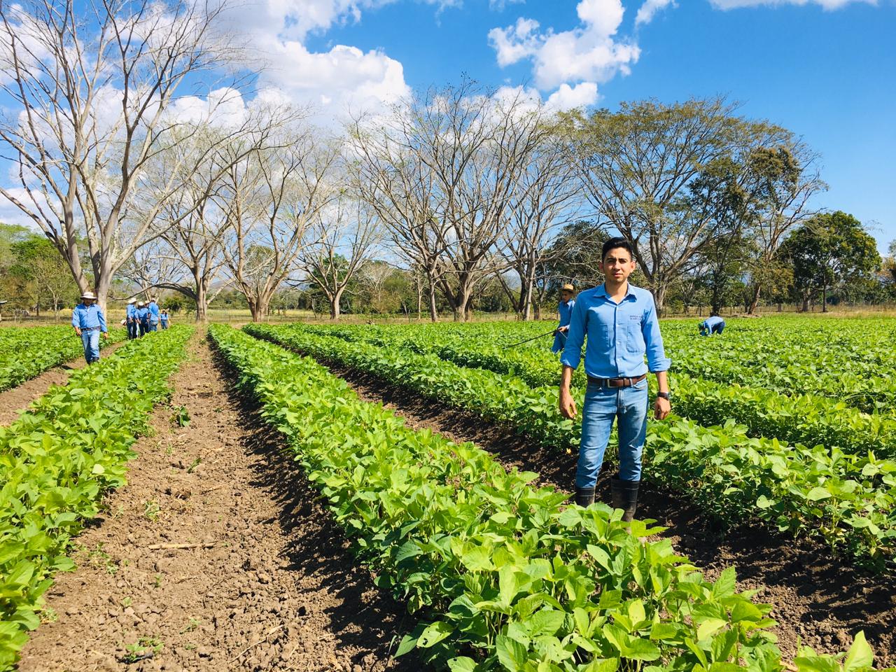 Guía paso a paso para obtener la licencia de agrónomo en Honduras ...
