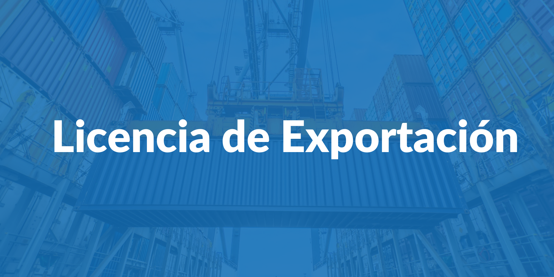 Todo lo que debes saber sobre los requisitos para solicitar licencia de ...